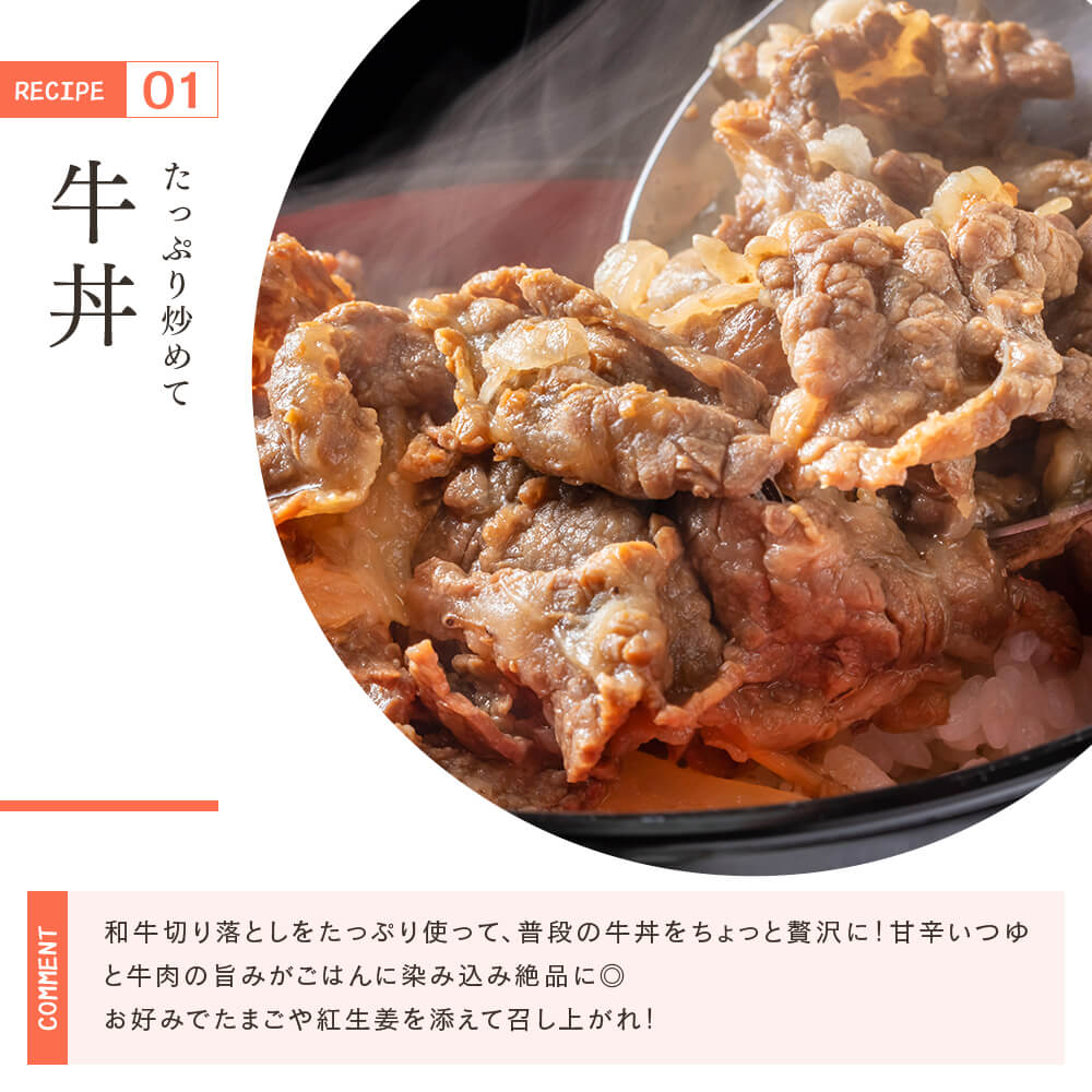 【送料無料｜大容量｜お買い得】九州産 黒毛和牛 切り落とし 3kg(300g×10)｜お中元・夏のギフト｜カミチク ファーマーズマーケット｜上質な和牛を鹿児島から